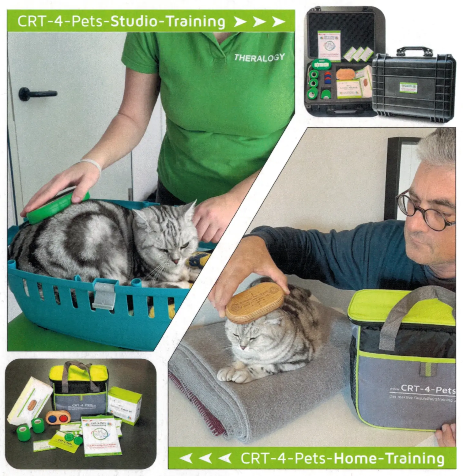 CRT-4-Pets – LichtRaum Gesundheit